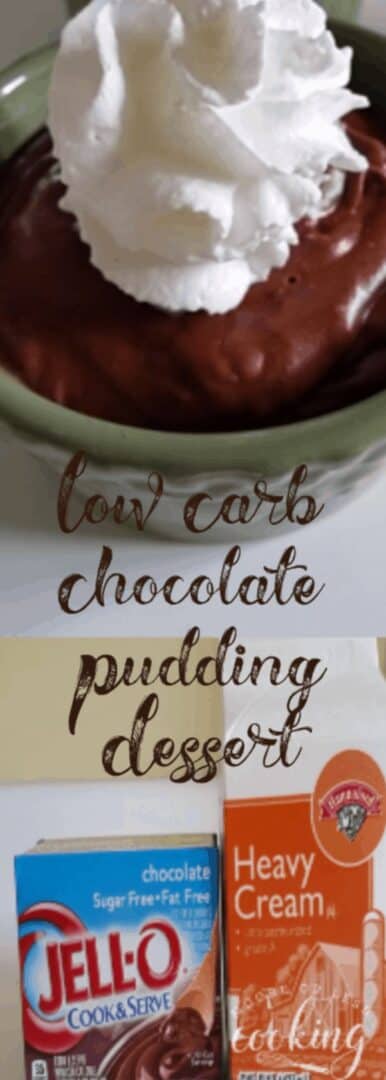 LOW-CARB PUDDING DESSERT - Moore or Less Cooking