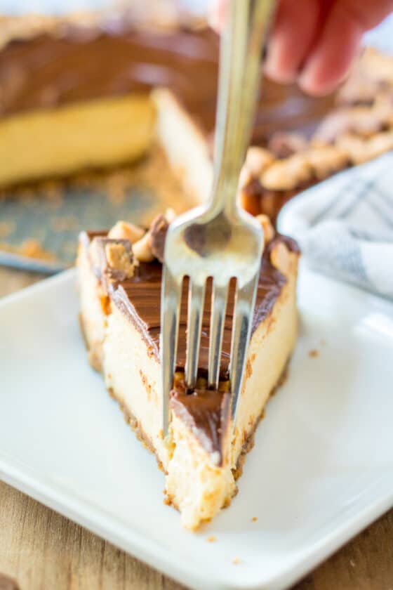 Peanut Butter Cup Cheesecake - Moore or Less Cooking