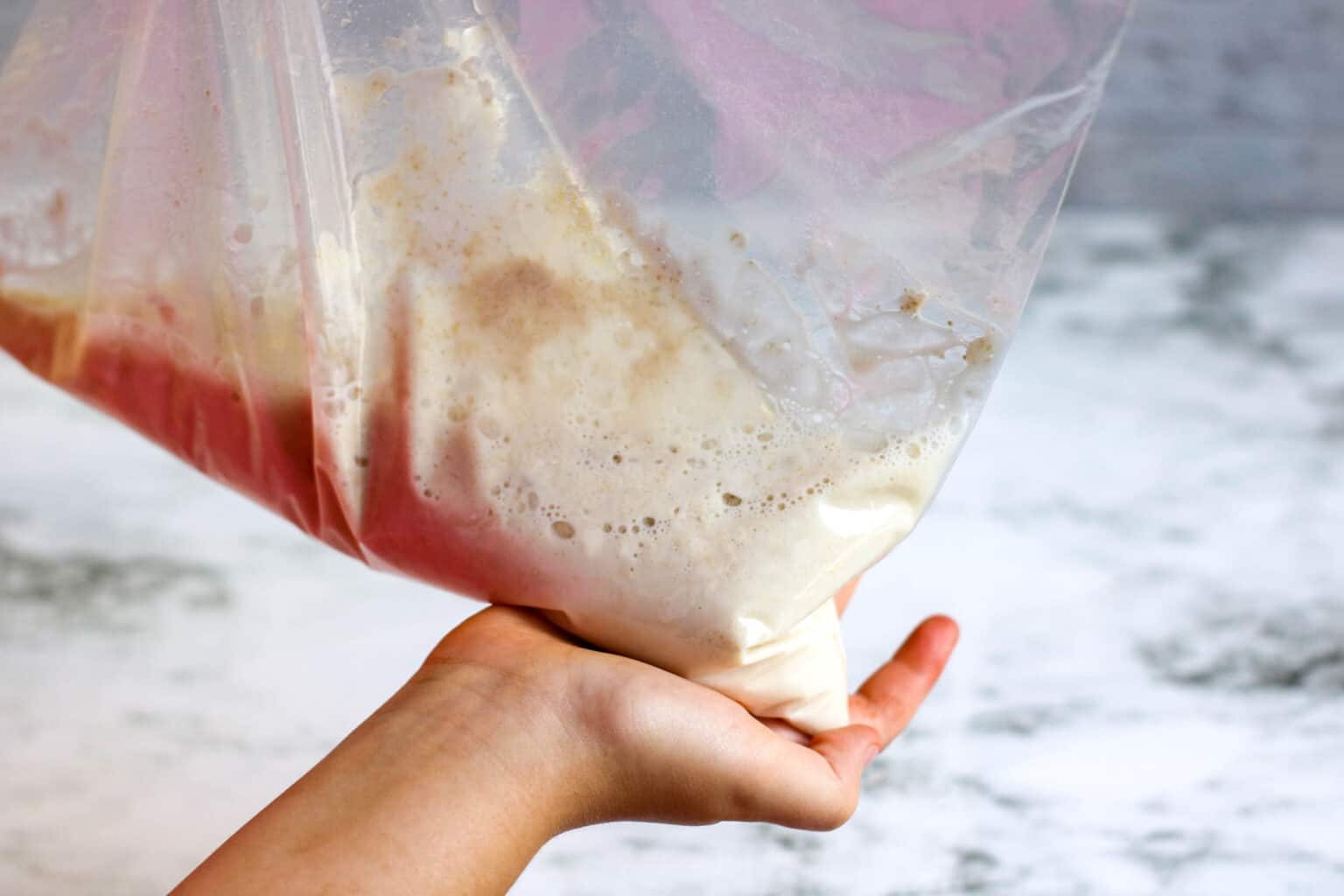 Bread In A Bag - Moore or Less Cooking