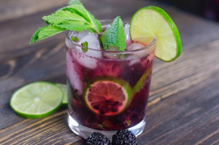 Blackberry Lime Mojito - Moore or Less Cooking