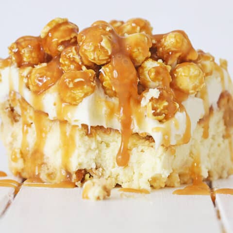 Cheesecake Archives - Moore or Less Cooking