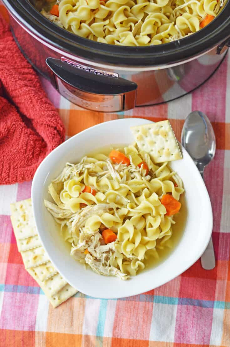 Crockpot Chicken Noodle Soup - Moore or Less Cooking