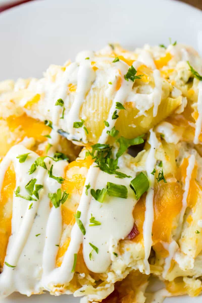 Crack Chicken Stuffed Shells - Moore or Less Cooking